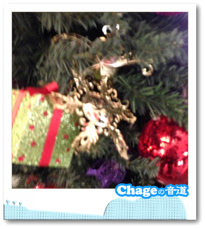 Chageの音道|SONG LIST_vol.195|AuDee（オーディー） | 音声コンテンツプラットフォーム