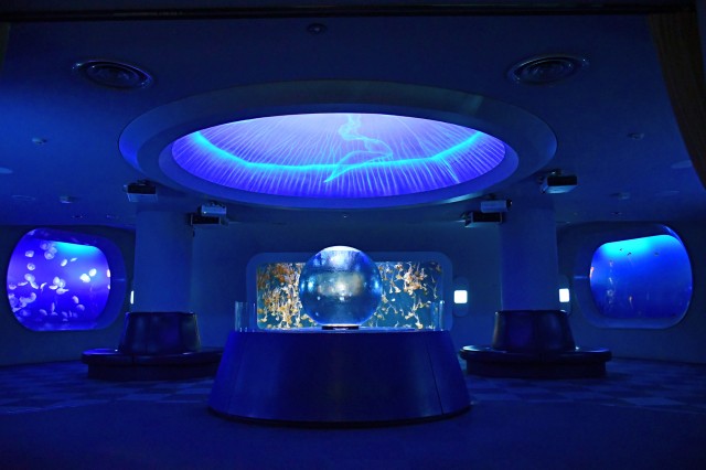 OCEAN BLINDNESS 〜私たちは海を知らない？〜|楽しい！癒される！一方でモヤモヤ・・・。そんな水族館のモヤモヤを解消！|AuDee（オーディー） | 音声コンテンツプラットフォーム