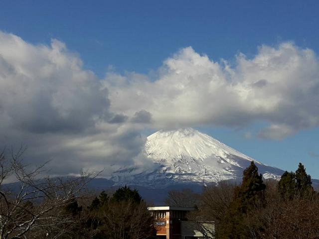 simple style －オヒルノオト－|1月2日（月） simple style|AuDee（オーディー） | 音声コンテンツプラットフォーム