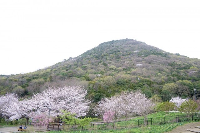 善通寺・仲多度 お宝ディスカバリー|お宝ファイルNO.73 善通寺五岳の里 市民集いの丘公園|AuDee（オーディー） | 音声コンテンツプラットフォーム