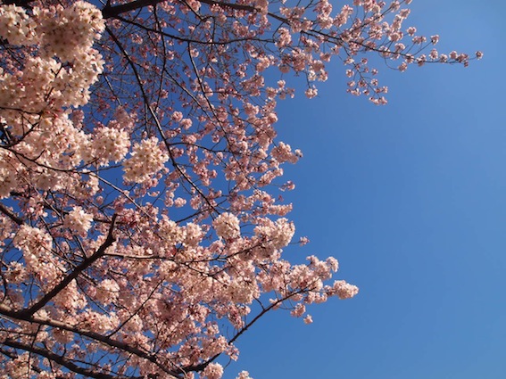 simple style －オヒルノオト－|3月27日（金） simple style|AuDee（オーディー） | 音声コンテンツプラットフォーム