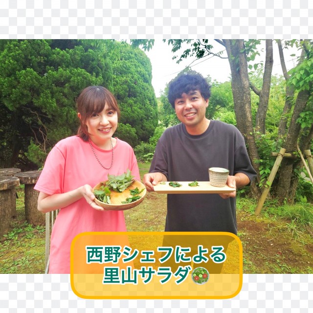 里山ZERO BASE コラボレーションラジオ 『Sato Note』|2023/7/9 里山にある植物でサラダを作って食べる！？|AuDee（オーディー） | 音声コンテンツプラットフォーム