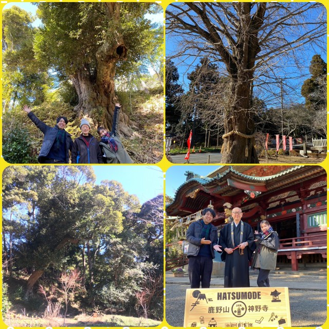 里山ZERO BASE コラボレーションラジオ 『Sato Note』|2024/1/28 鹿野山・神野寺から巨樹、巨木を見に行こう|AuDee（オーディー） | 音声コンテンツプラットフォーム