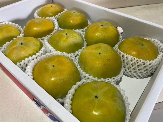 宇多津・綾川 このまちLOVERS|第26回「柿が赤くなると、医者が青くなる・・・」2022.10.4|AuDee（オーディー） | 音声コンテンツプラットフォーム