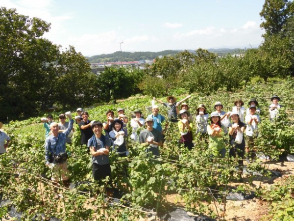 COSMO みらいかぜ|#49 国産の綿を広める「ふくしまオーガニックコットンプロジェクト」|AuDee（オーディー） | 音声コンテンツプラットフォーム