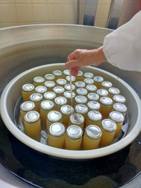 善通寺・仲多度 お宝ディスカバリー|お宝ファイルNO.88 神野ひまわり会|AuDee（オーディー） | 音声コンテンツプラットフォーム