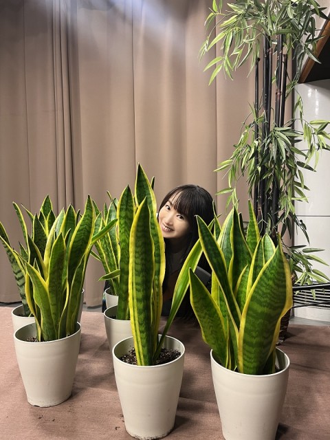 水樹奈々のMの世界|第779回『 LIVE JUNGLE 神奈川振り返りSP 』|AuDee（オーディー） | 音声コンテンツプラットフォーム