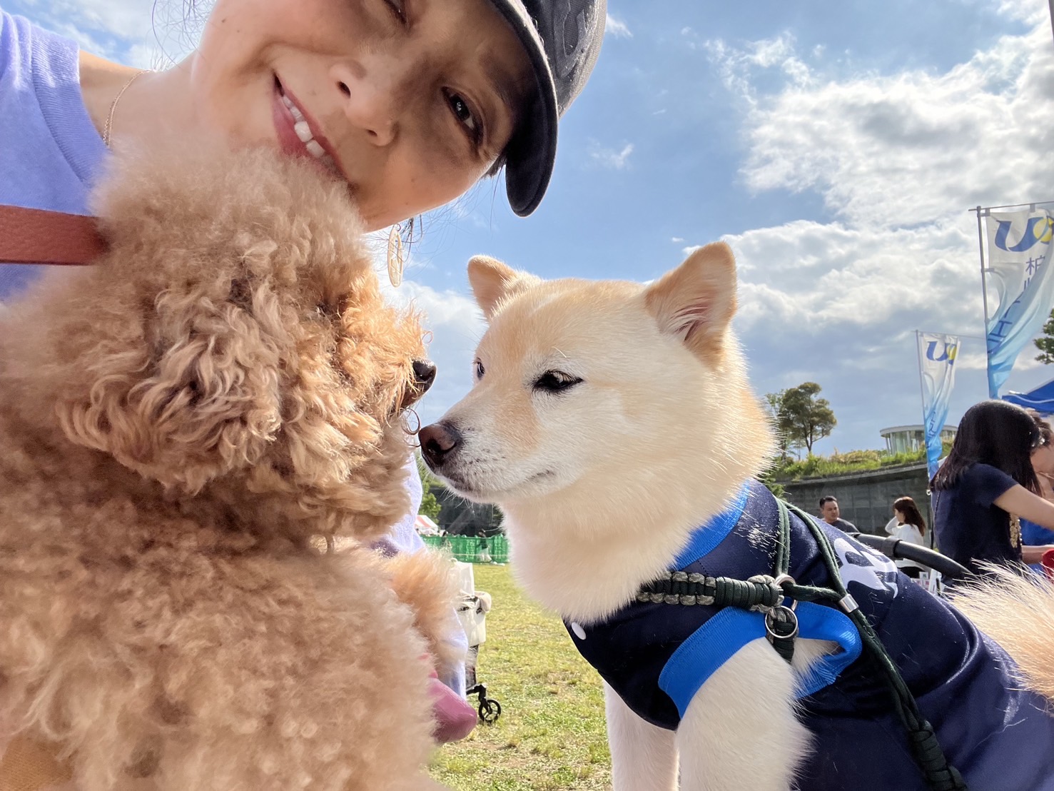 mapiの犬猫ラジオ ♫nukumori|株式会社Biペットランド 代表取締役社長の岩崎弘之さんと一緒にお送りします！|AuDee（オーディー ...