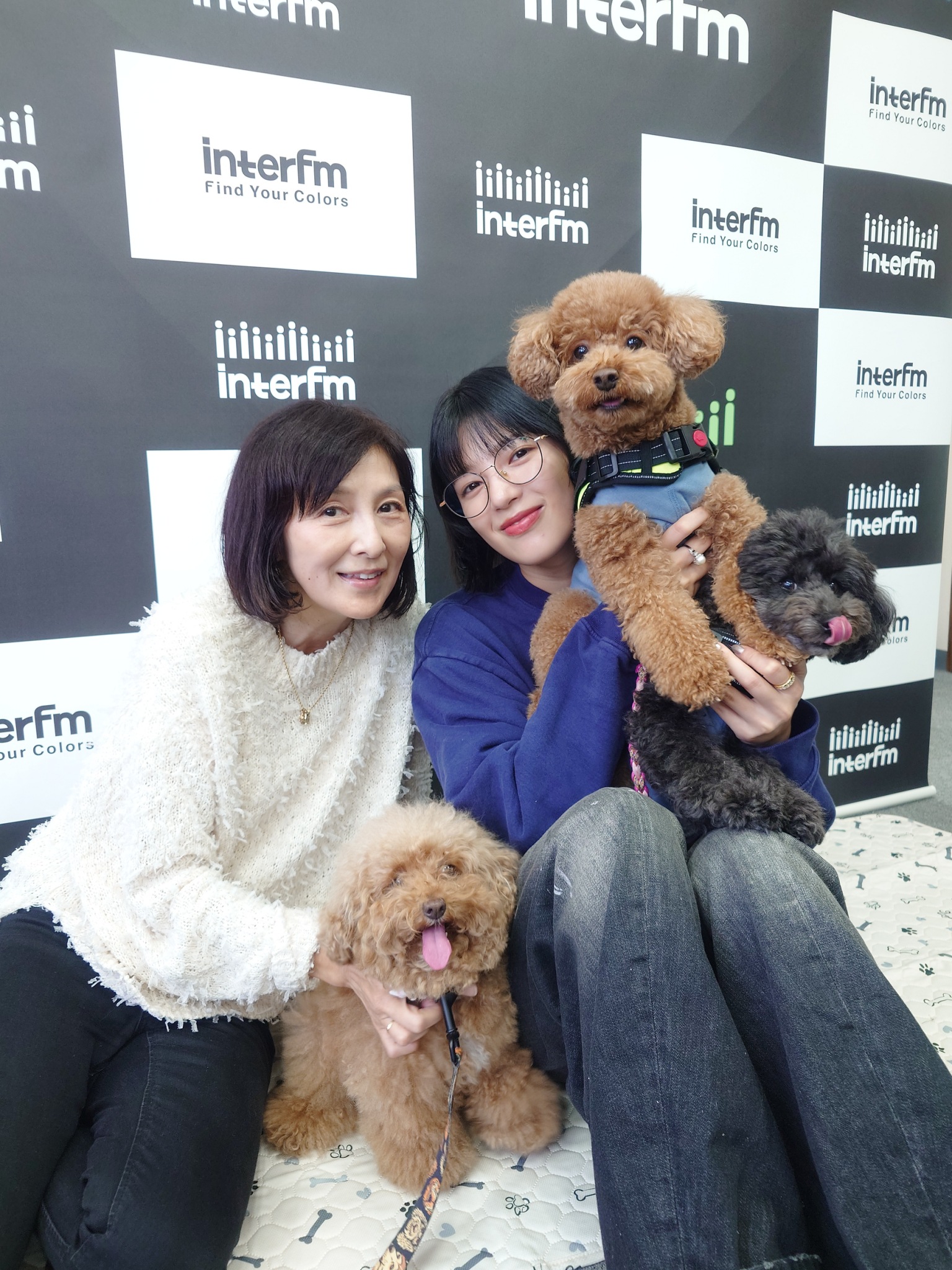 朝みみ！ Precious Family|🎙️朝みみ！トーク 俳優 石井杏奈さん が 愛犬🐕🐩56・96と登場 ／ 2匹のトイプードル君たちは元気いっぱい。スタジオにはどんなバッグに入ってるの ...