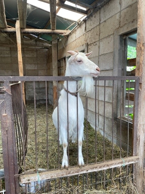 善通寺・仲多度 お宝ディスカバリー|お宝ファイルNO.83 産直倶楽部てんとうむし山下農場|AuDee（オーディー） | 音声コンテンツプラットフォーム