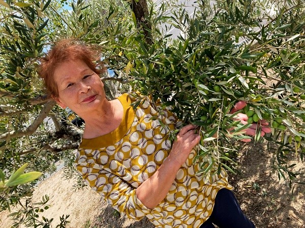 香川しまびより|Vol.30 小豆島町・小豆島 オリーブ収穫の季節の味|AuDee（オーディー） | 音声コンテンツプラットフォーム