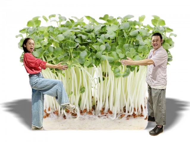 Happy Our Party!|2025年9月18日（木）放送終了|AuDee（オーディー） | 音声コンテンツプラットフォーム